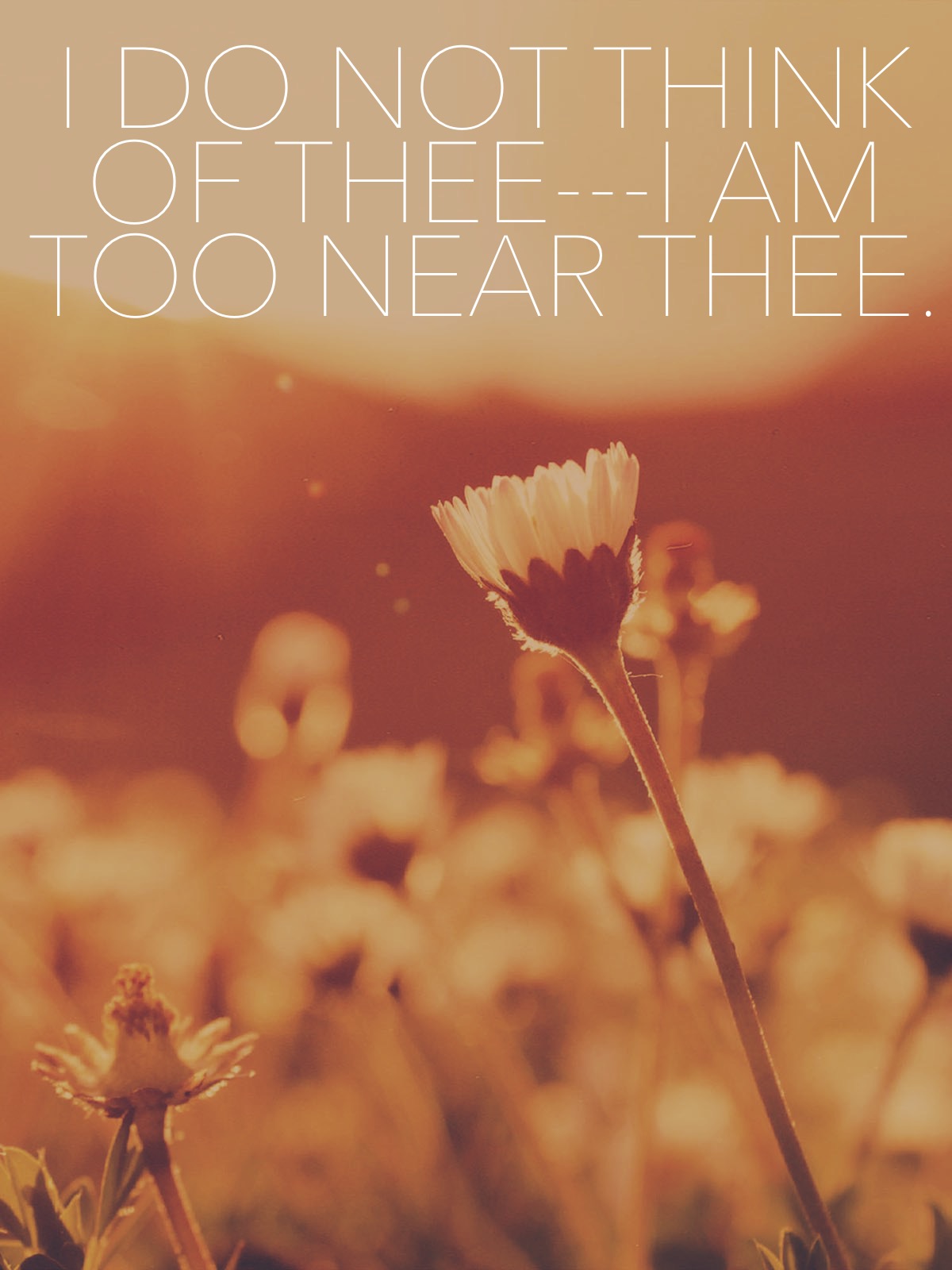 Revising the love and relationships poetry cluster? | English at ...